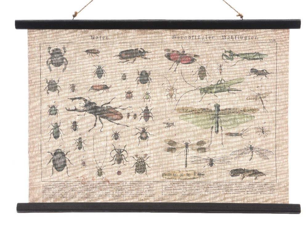 Tableau en toile vintage insecte MARCEL DMR3889046